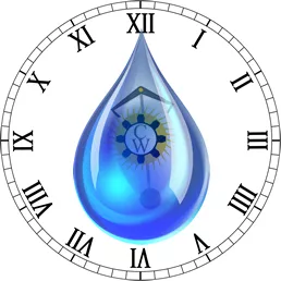 Clock Cleaning and Oiling Kit - Clean and oil the clock - Clockworks.